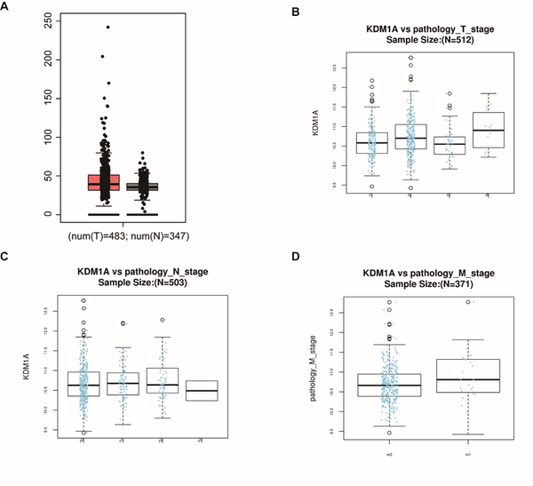 Genes Dis︱刘宏民/何鹏兴/徐义超团队发现阻断LSD1抑制肺腺癌增殖转移的新机制 - 知乎