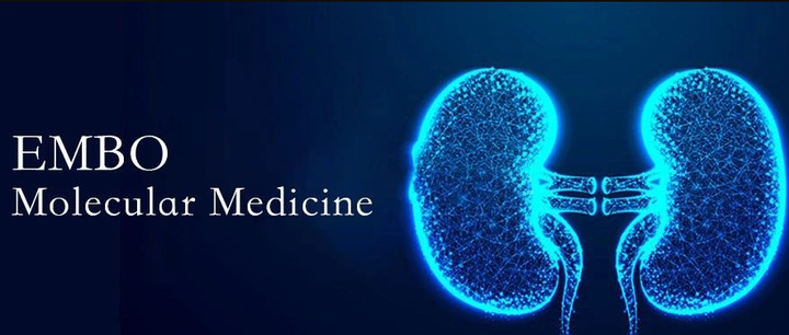 EMBO Mol Med | 南京医科大学张爱华/贾占军教授蛋白质组学发现慢性肾脏疾病的潜在治疗靶点 - 知乎