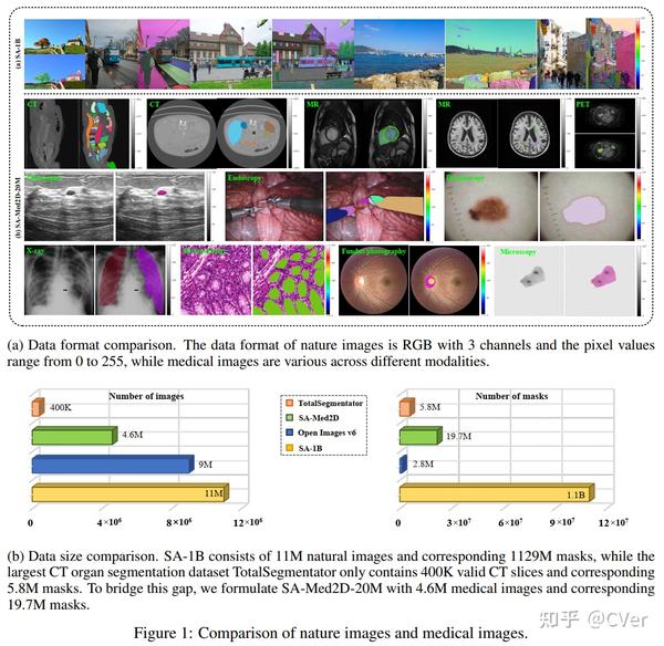 SA-Med2D-20M 医学图像分割数据集开源了！2000万个掩码分割！ - 知乎