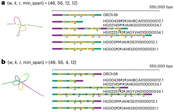Nat Methods | 新泛基因组研究工具包PGR-TK，可在多种尺度上分析重复/临床相关复杂基因变异 - 知乎