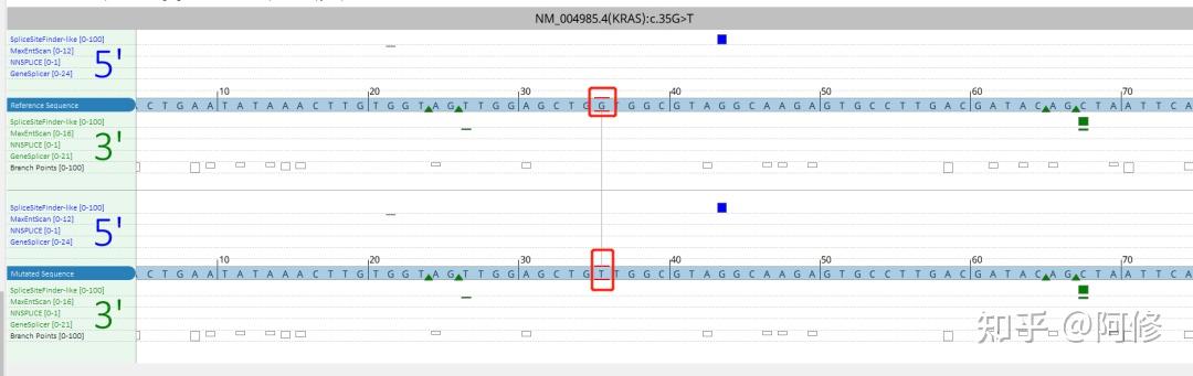 Alamut Visual Plus 个人体验 - 知乎