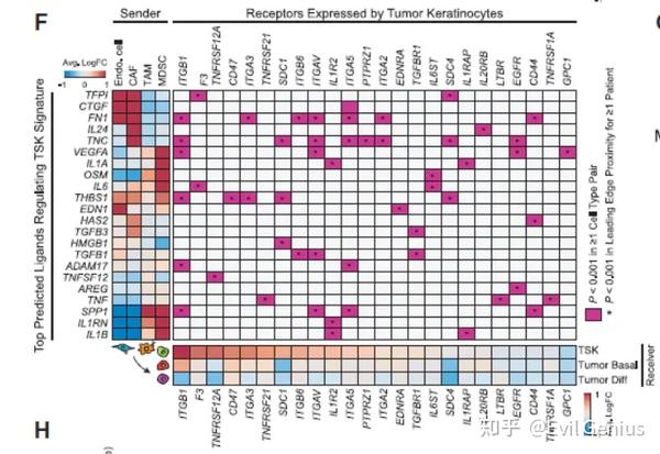 人鳞状细胞癌成分和空间结构的多峰分析（空间转录组与单细胞文章） - 知乎