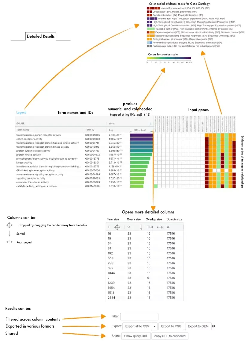 生信小课堂 | 一文了解ORA、GSEA、ssGSEA ！ - 知乎