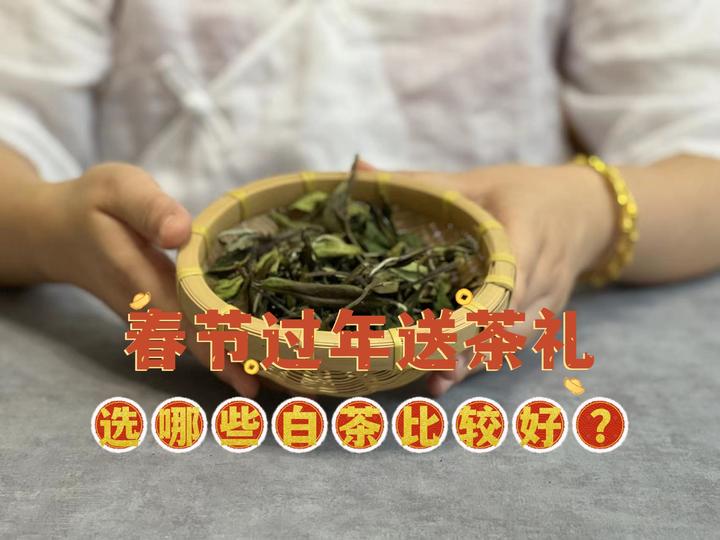 过年送茶礼有讲究，长辈、朋友、老茶客，教你送哪些白茶比较好 知乎
