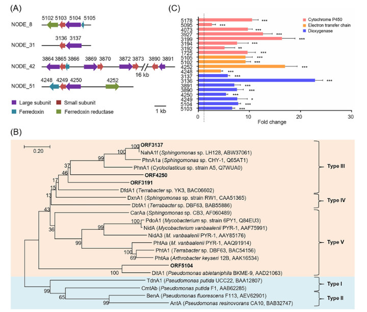 mLife | 鞘脂菌SHPJ‐2多环芳烃降解机制解析 - 知乎