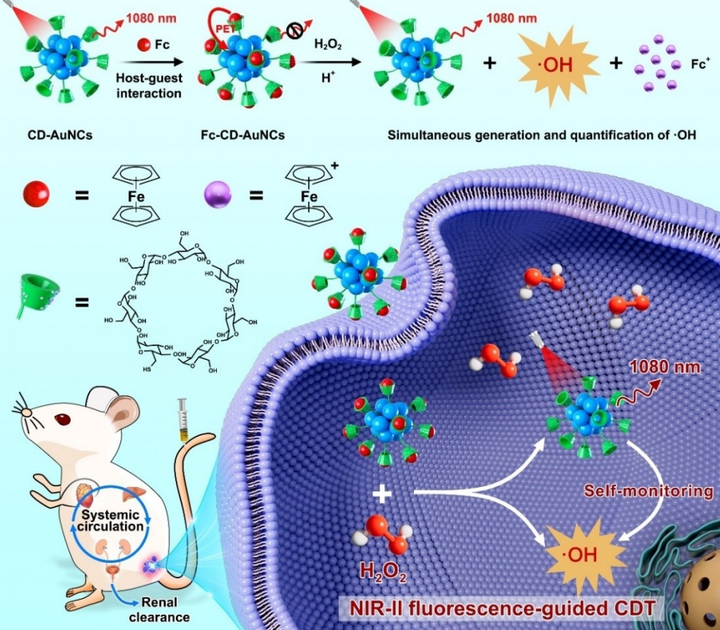 福州大学林立森团队Angew. Chem. Int. Ed. - 知乎