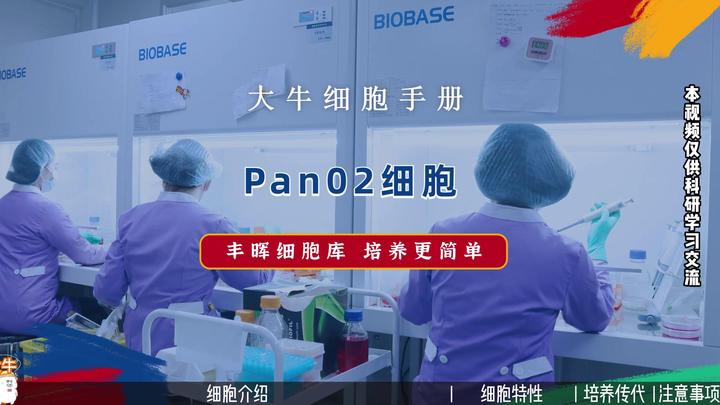 Pan02细胞培养，小鼠胰腺癌细胞培养攻略 - 丰晖生物 - 知乎
