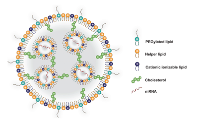 行研 | 守得云开见月明——LNP载体行业发展追踪（上） - 知乎