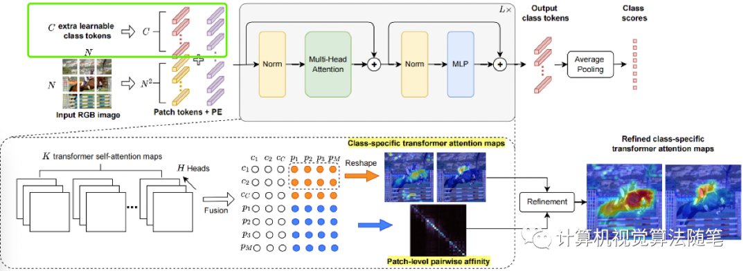 SEAM, AMR, MCTformer: 从image-level label学习pseudo label完成弱监督语义分割 - 知乎