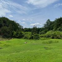 怎么解析 dwarf-.debug_frame - 知乎