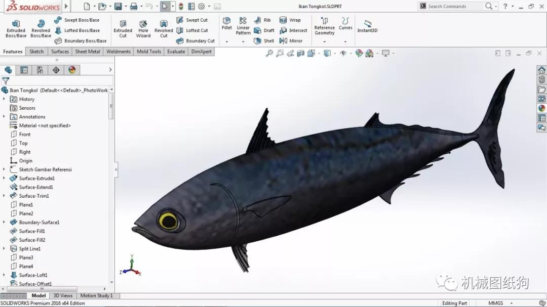 【生活艺术】AQUA Fish水产鱼模型3D图纸 Solidworks设计 附STEP IGS - 知乎