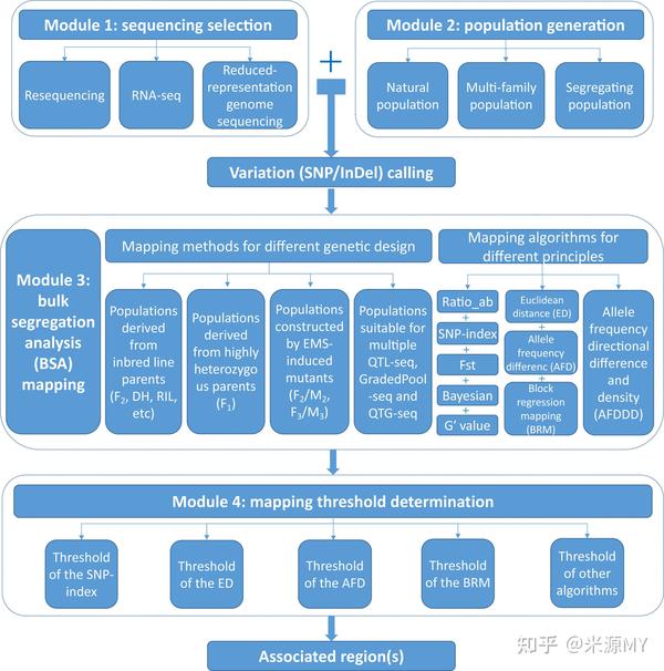 基因挖掘之BSA (Bulk segregation analysis) - 知乎