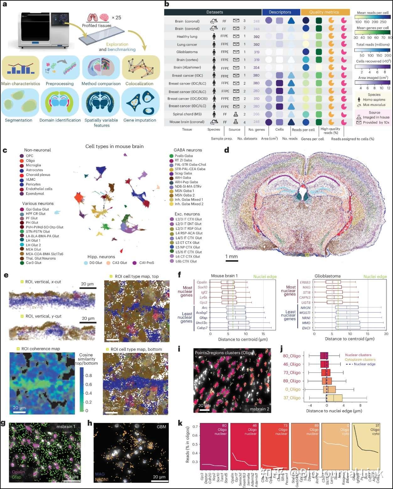 文章 | Nat.Methods | 通过质量评估和最佳实践分析工作流程优化Xenium原位数据利用率 - 知乎