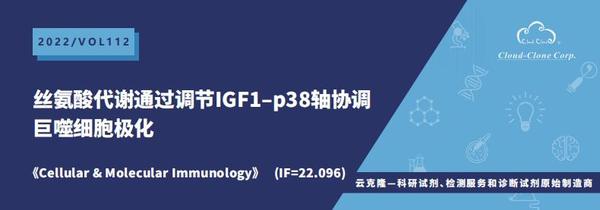 文献解读 | 丝氨酸代谢通过调节IGF1–p38轴协调巨噬细胞极化 - 知乎