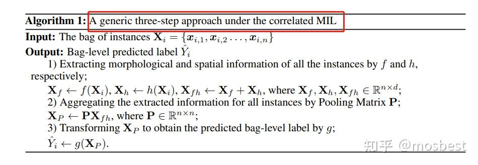 TransMIL: 基于 Correlated Multiple Instance Learning Transformer 用于 WSI ...