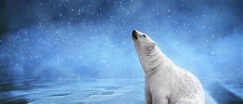 7-36：ECT、PET-CT显像下甲状腺“热、温、凉、冷”结节与甲状腺癌关系 - 知乎