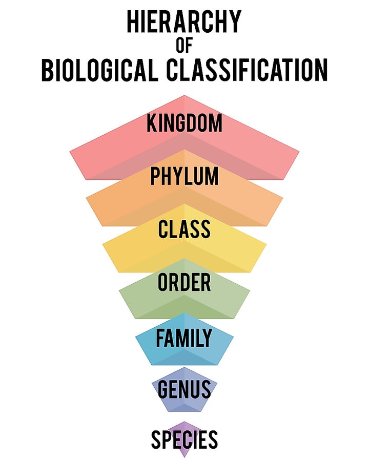 Biological Classification Biological Classification