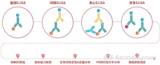 一键解锁ELISA在生物药研发阶段的多应用场景 - 知乎