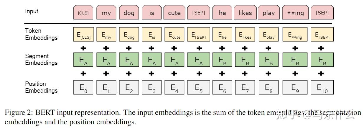 bert中的special token到底是怎么发挥作用的(1) - 知乎