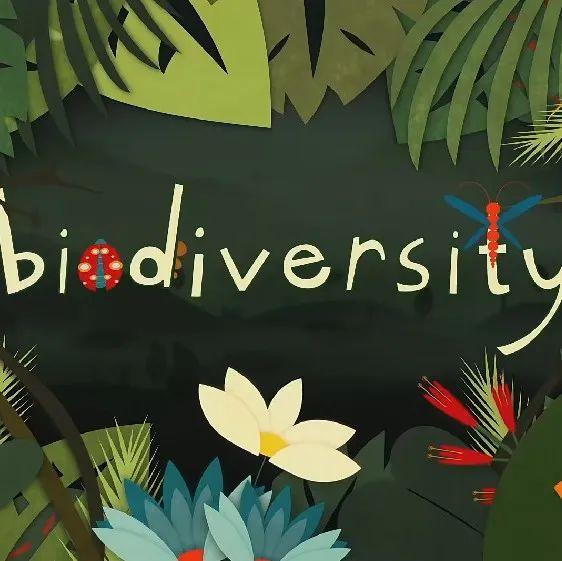 TED-ed科普动画系列《Awesome Nature 了不起的自然》 - 知乎