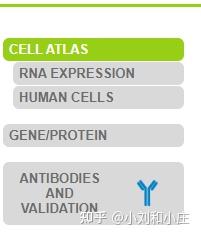 不做实验产数据：THE HUMAN PROTEIN ATLAS - 知乎