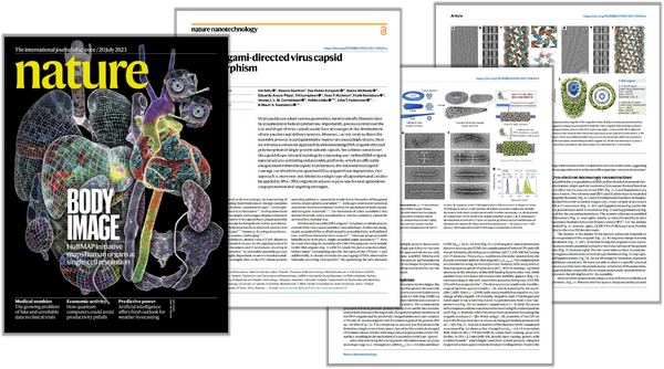 创新疫苗设计：精密操控病毒衣壳的纳米级DNA折纸技术 - 知乎
