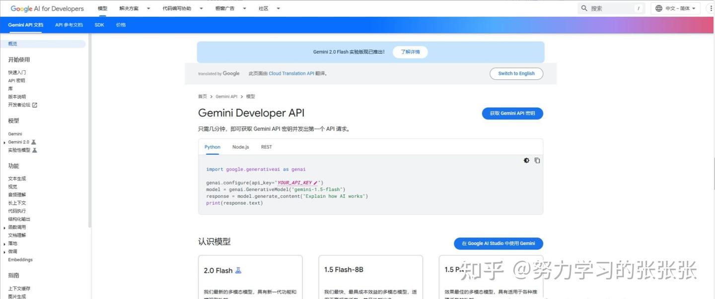 一招教会你Gemini应该怎么使用：Gemini2.0国内使用指南（小白教学） - 知乎