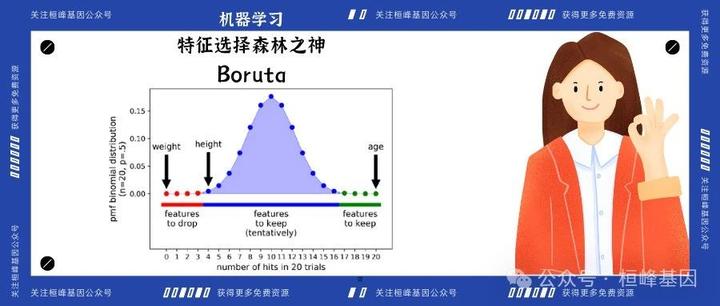 MachineLearning 30. 机器学习之特征选择森林之神 (Boruta) - 知乎