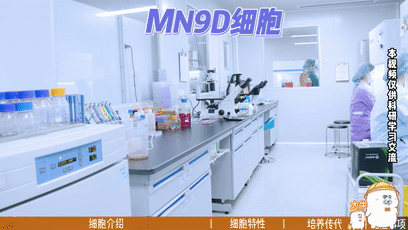 MN9D细胞培养，小鼠中脑多巴胺能神经元细胞培养攻略 - 知乎