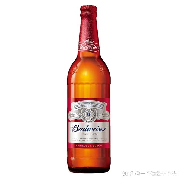 解析夜场的啤酒-常见品牌以及价格（一） - 知乎