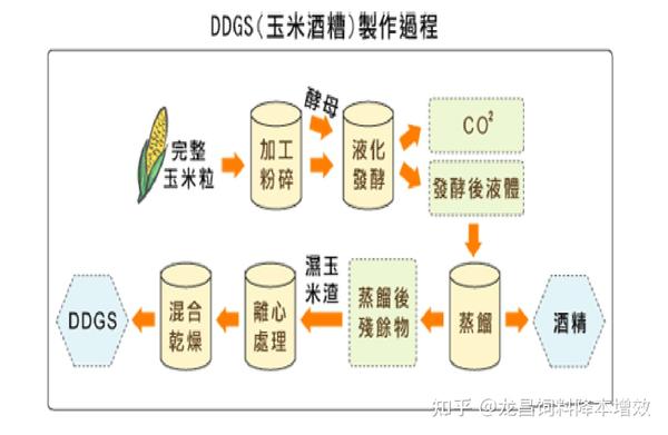 浅谈玉米DDGS质量控制问题！ - 知乎