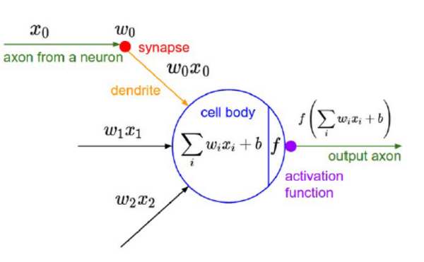 激活函数——Sigmoid、Tanh、ReLu、LeakyReLu、Softmax以及如何选择激活函数 - 知乎