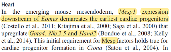 脊椎动物中胚层分化-侧板中胚层 - 知乎