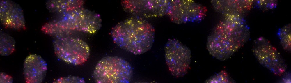 iFISH - FISH技术探针设计公开资源 - 知乎