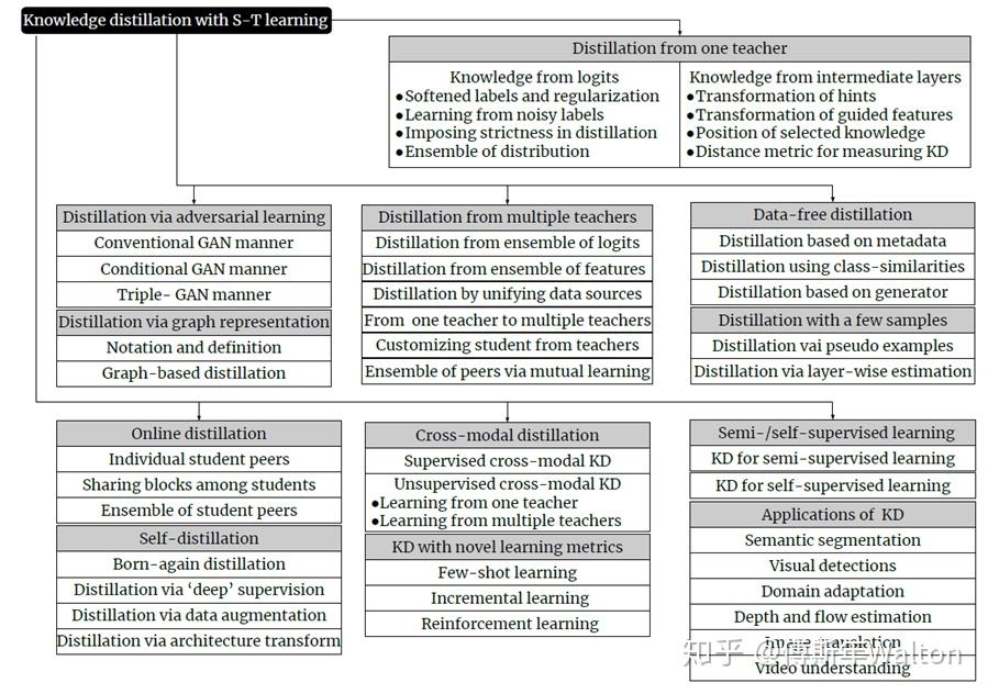 Knowledge Distillation（知识蒸馏）Review--20篇paper回顾 - 知乎