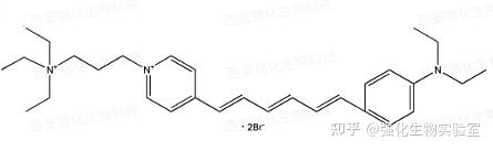 FM4-64神经末梢荧光探针，用于活细胞染色，对细胞代谢干扰小 - 知乎