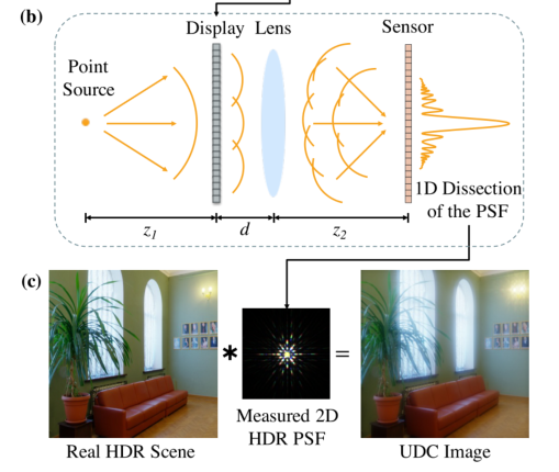 Removing Diffraction Image Artifacts in Under-Display Camera via Dynamic Skip Connection ...
