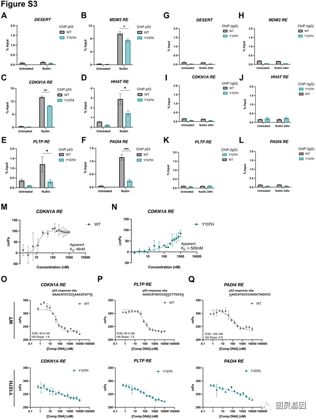 Can Dis | 发现p53触发免疫功能杀死肿瘤新机制 - 知乎
