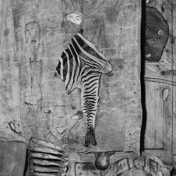 Roger Ballen | 全集：这里没有我们可以参考的世界（或有不适，谨慎阅读） - 知乎