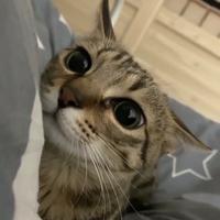 MRC & IRC & MMSE - 知乎