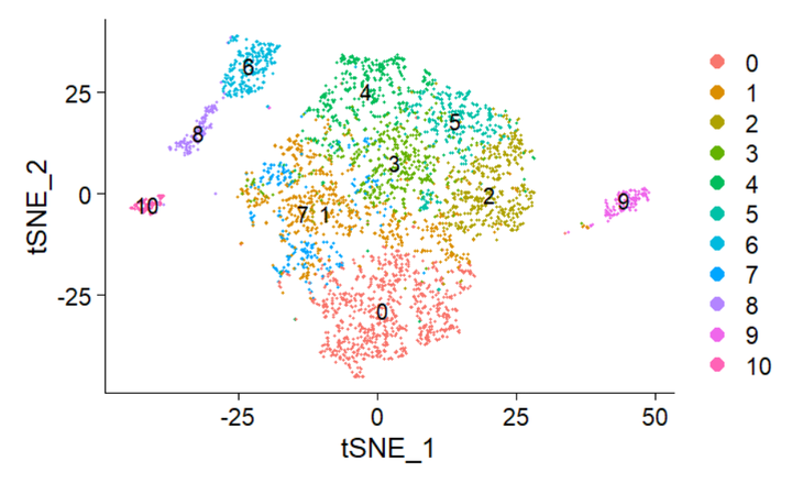 单细胞数据分析流程（cellranger、Seurat、singleR） - 知乎