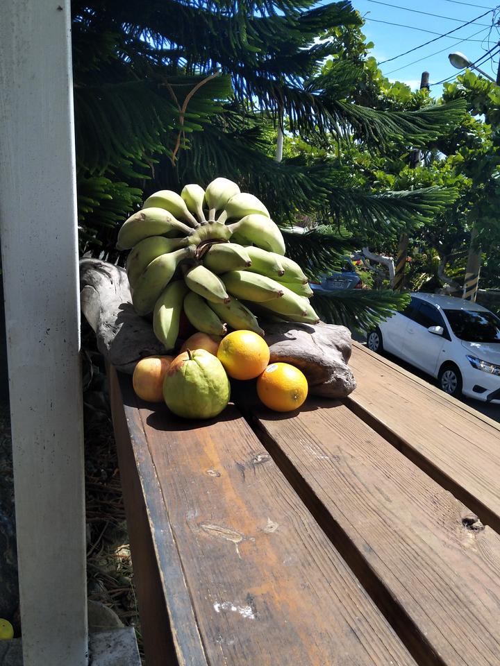 无创高频通气(NHFV) - 知乎