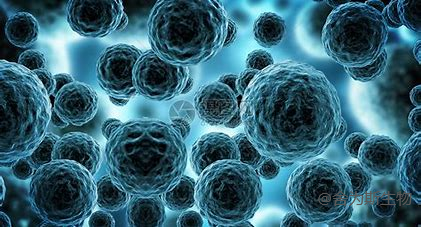 sws干货分享| CCK8药物筛选实验方法及要点分享 - 知乎