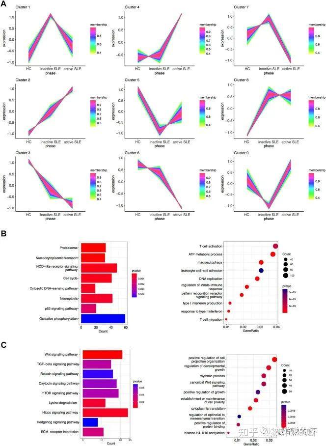 基因表达时序分析 TCseq - 知乎