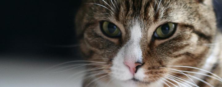 Find, Found or Founded - 知乎