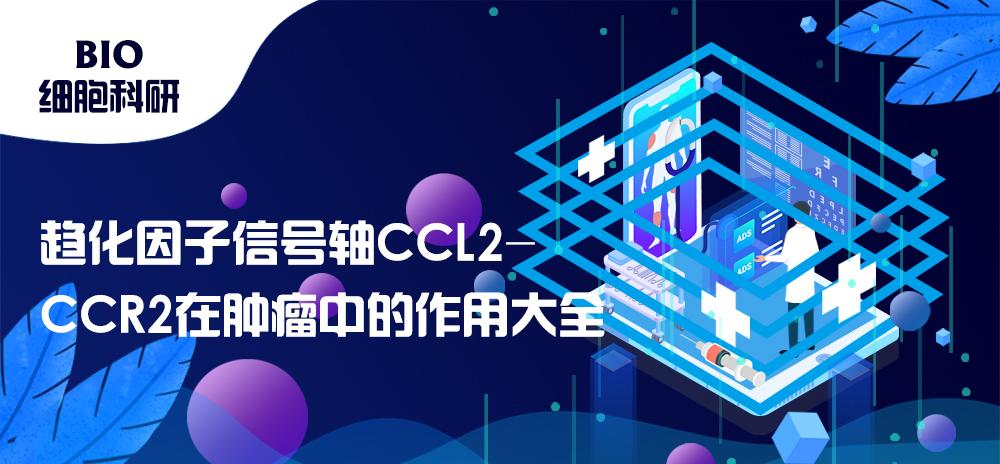 Cell Prolif|华西医院魏霞蔚团队对CCL2-CCR2信号轴在癌症中作用的总结 - 知乎