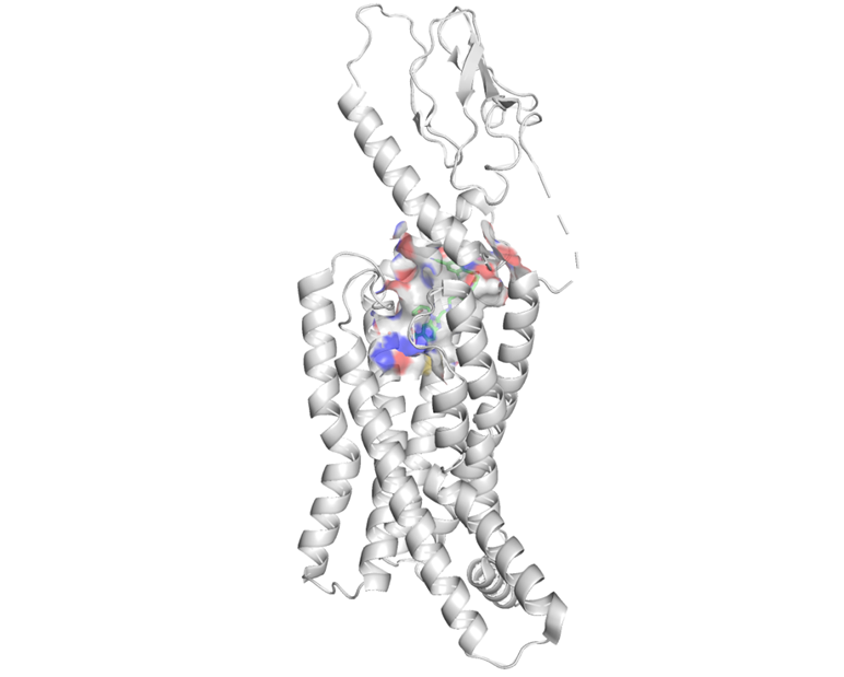 【药物发现】降糖药的发展历程简介（下） - 知乎