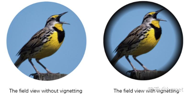 眼点的位置及测量方法 - 知乎