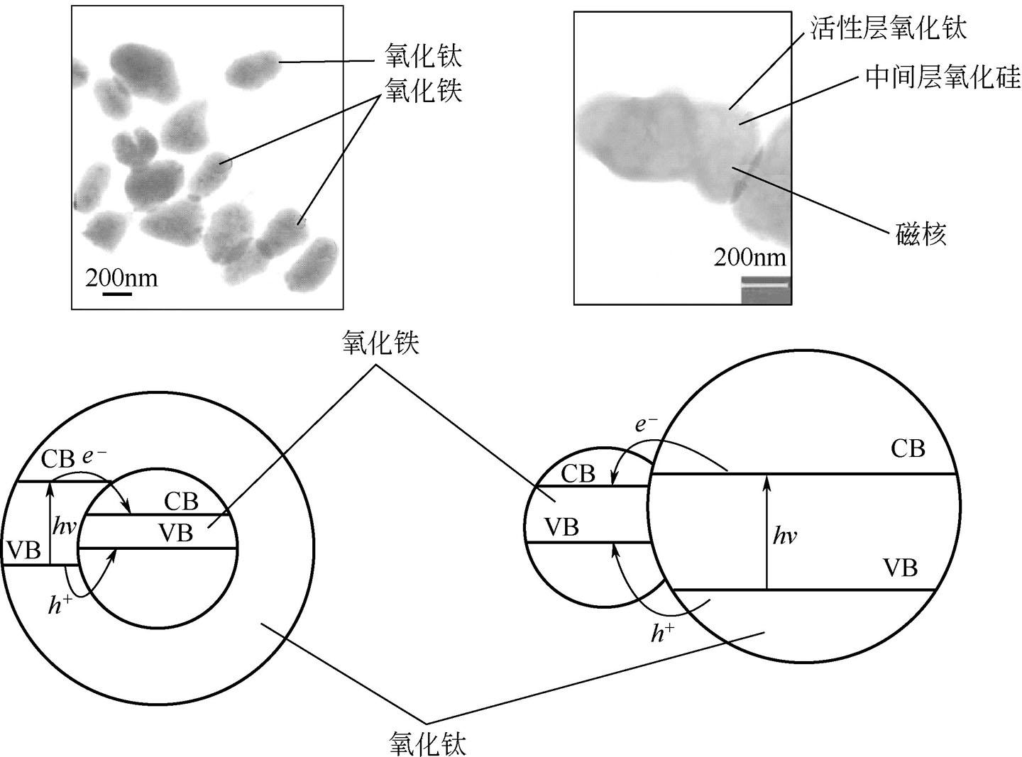 知乎盐选 | 4.2 国内外光催化研究进展