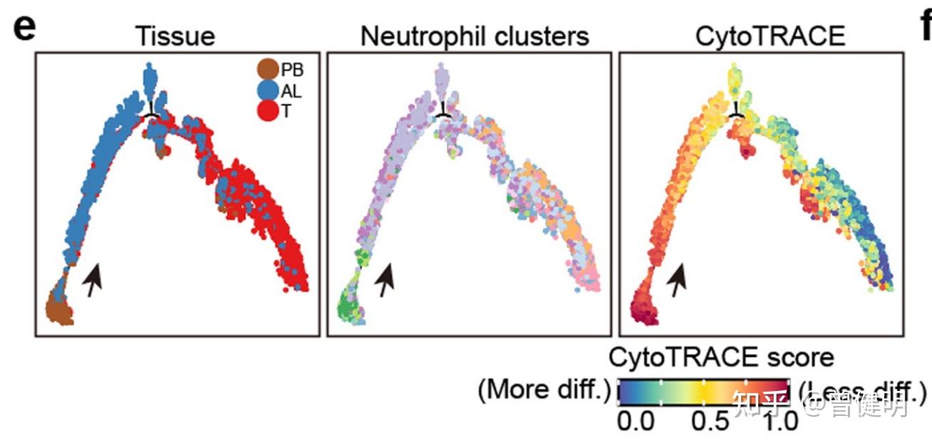 马上都2023了，但是CNS级别单细胞文章仍然是使用monocle2 - 知乎